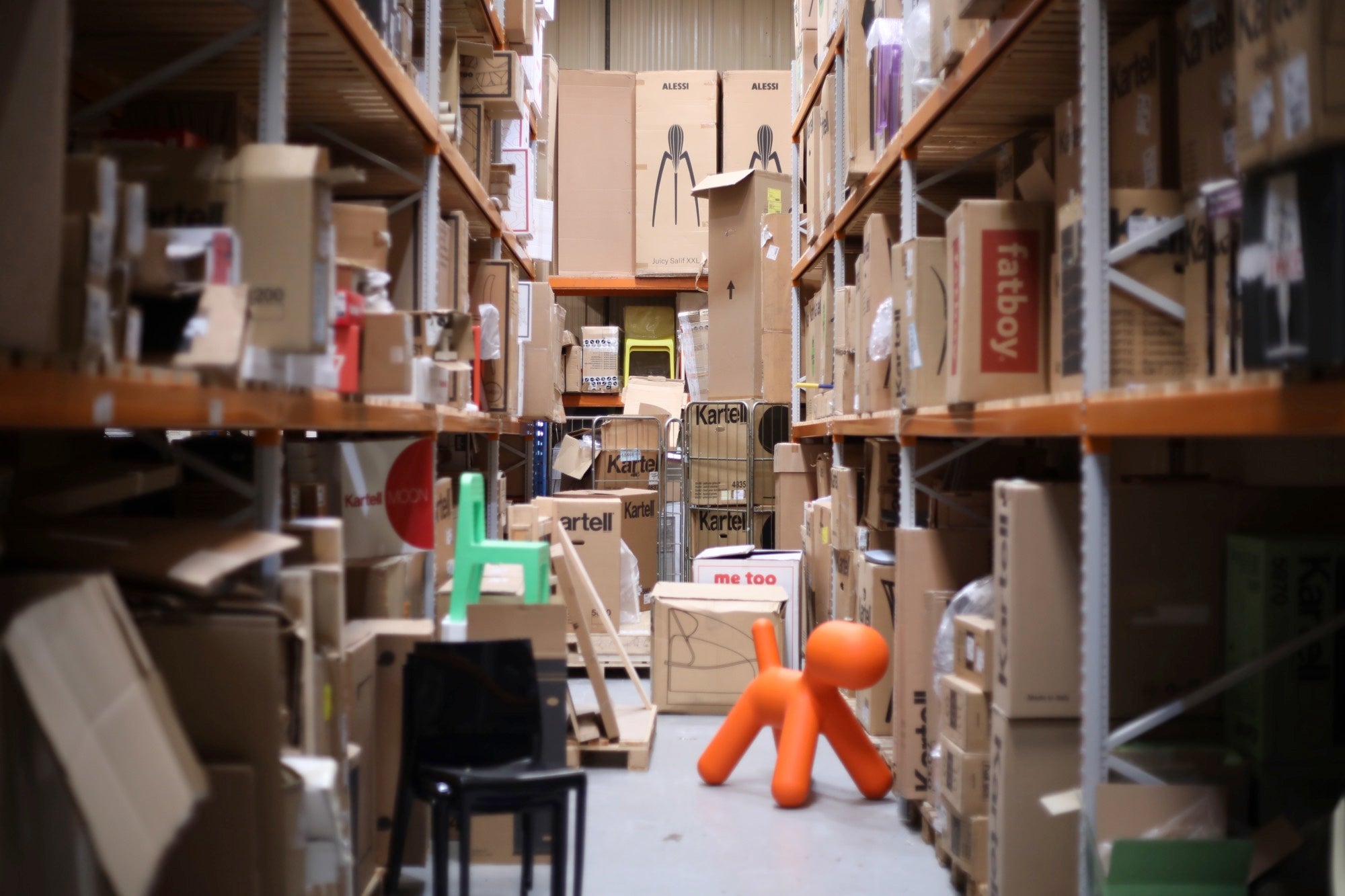 Discover the Latest Additions at Panik Design | Shop Now