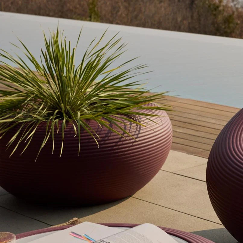 Planters | Stylish Plant Pots | Panik Design